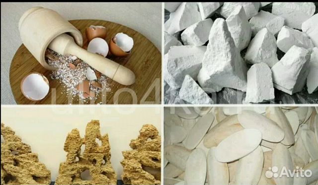 Кальций для улиток