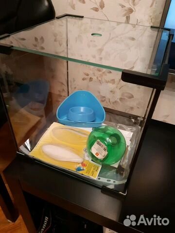 Стеклянный террариум