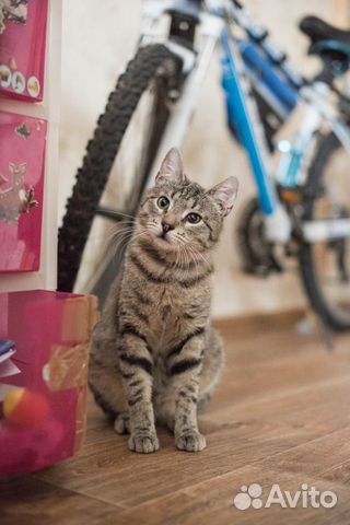 Малыш Джус в заботливые руки