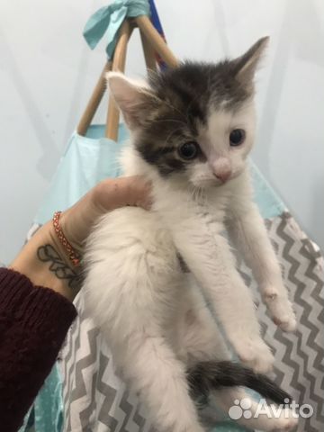 Крошка девочка