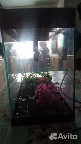 Аквариум 35 л + аксесуары и фильтр