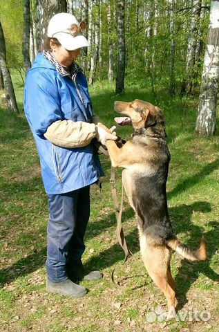 Умка -ваш друг