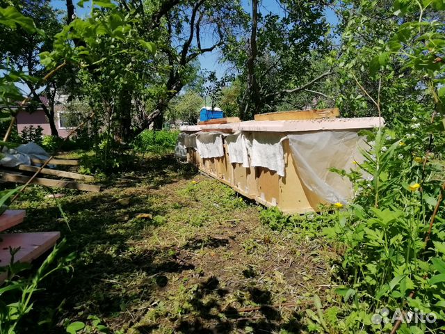 Пчелопакеты