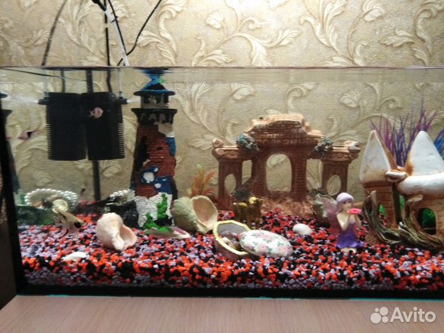 Аквариум