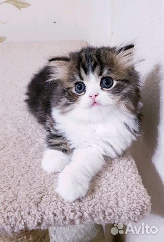 Эффектный парень)