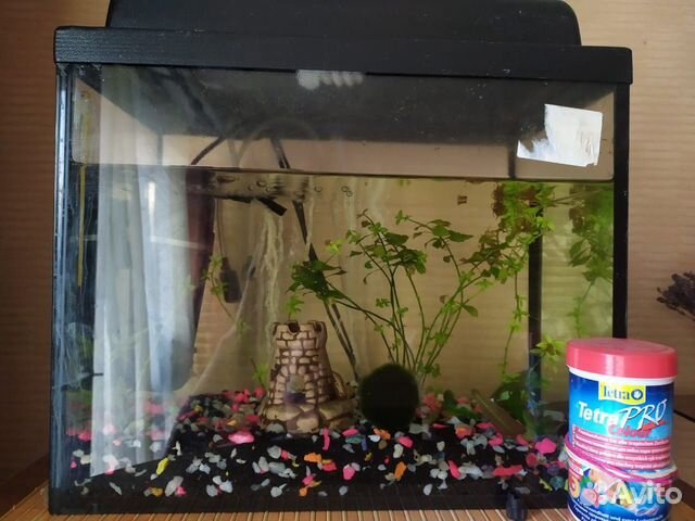 Аквариум 25 литров + комплектующие