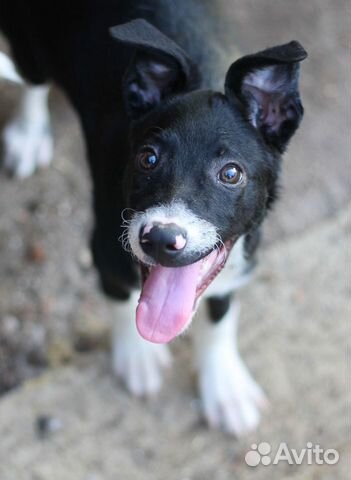 Особенный малыш Оливер