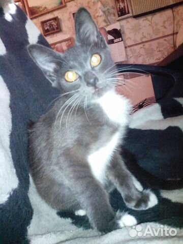 Добрый домовёнок