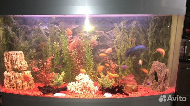 Аквариум 800л