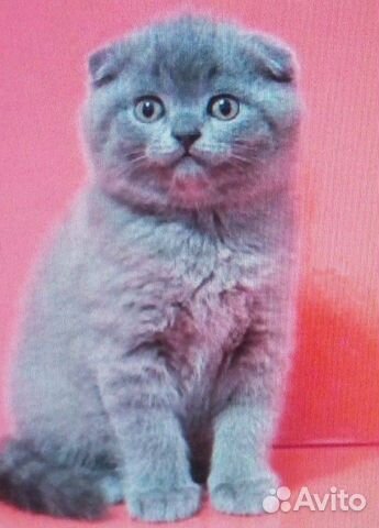 Фенечка -висят ушки