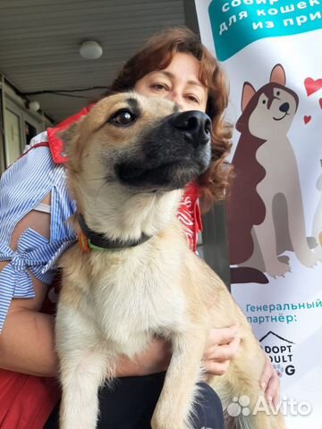 Собака Алиса 1 год
