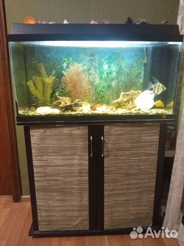 Аквариум