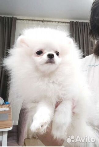 Белая mini девочка