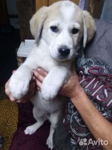 Сладкий малышок