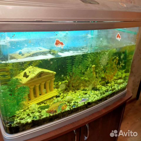 Аквариум Jinlong RE5830