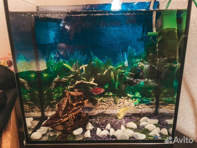 Аквариум