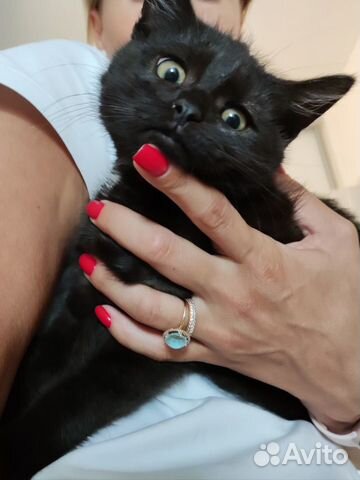 Маленькая пантерка