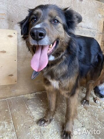 Милая Герда из приюта Некрасовка