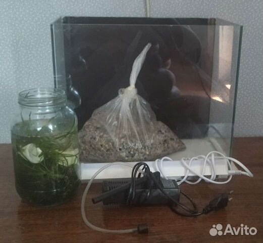 Готовый аквариум