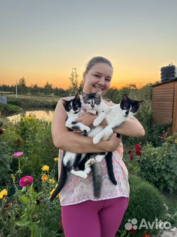 Котята в добрые