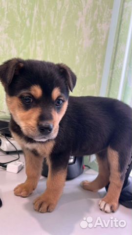 Малышка очень хочет домой