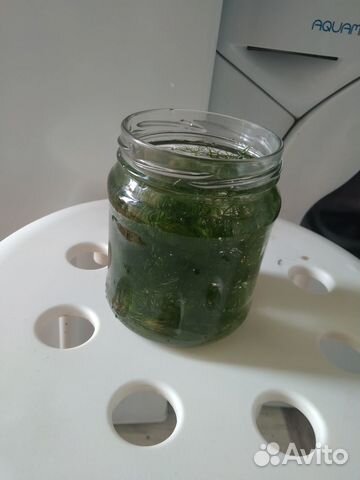 Водоросли для аквариума