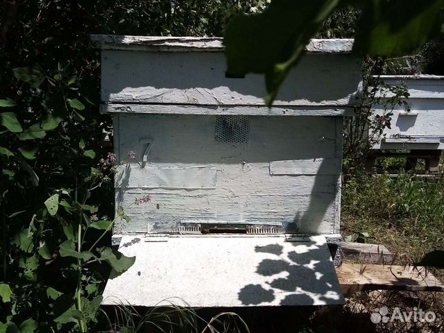 Пчелы и улья бу