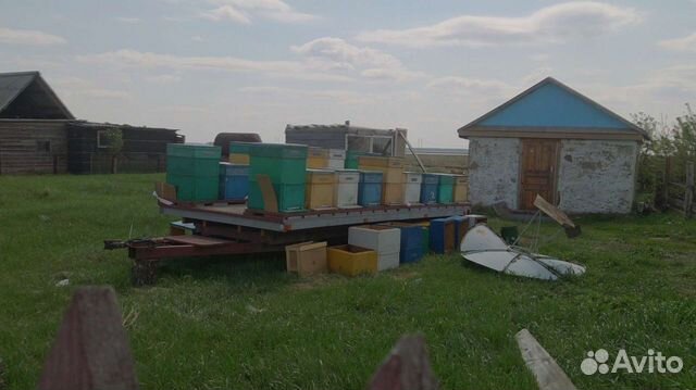 Продам пасеку,улья и прицеп