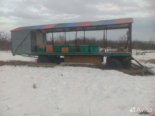 Продаются пчелосемьи