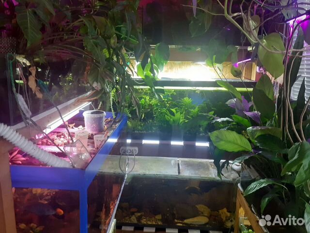 Аквариумный комплекс