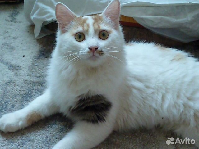 Кокетка с родинкой на щёчке