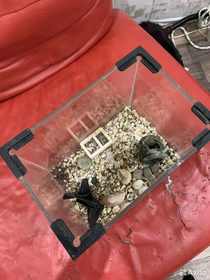 Аквариумы из оптивайта