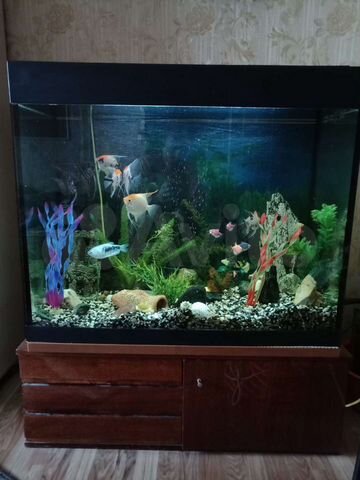 Аквариум 320 л